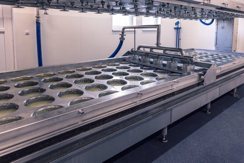 Industrial Cheese Making Process Stock Image - Image of business ...