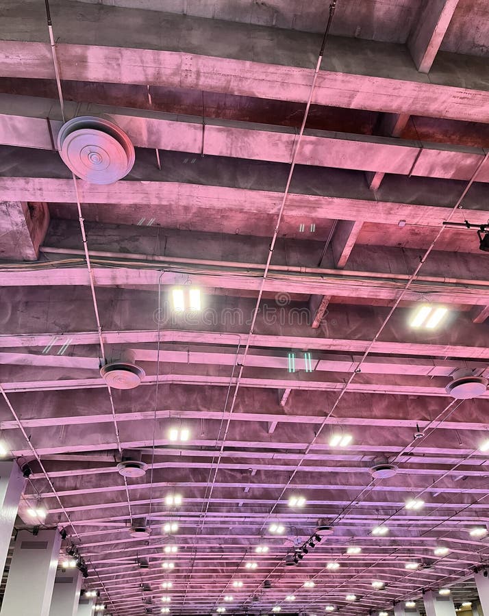 Industrial Concrete Ceiling Lit Up with Pink Lights Stock Image - Image ...