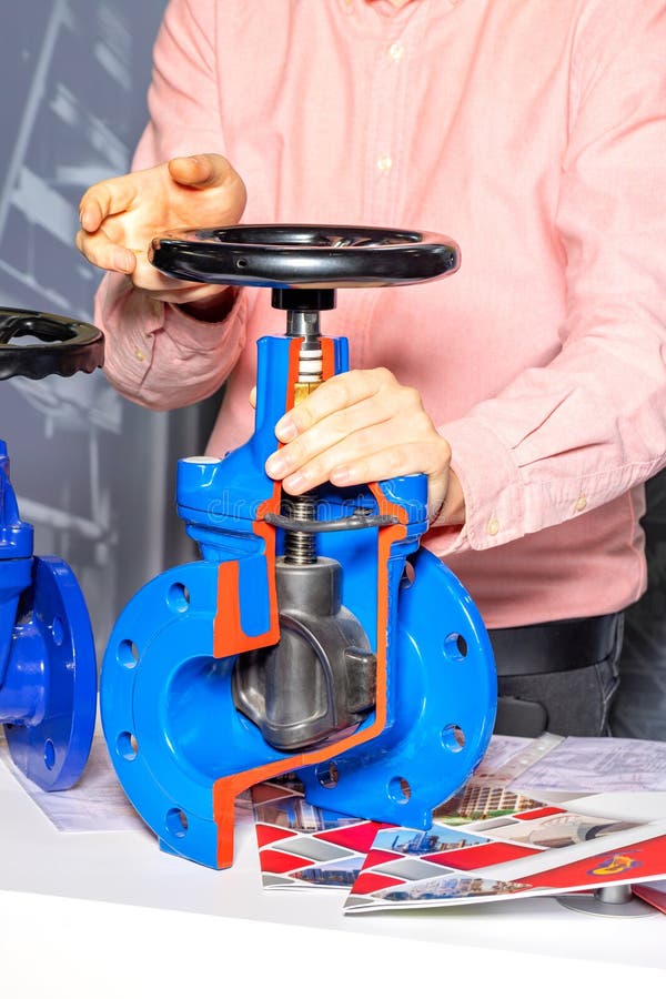 Industrial Engineer Demonstrating Cross Section of Gate Valve Stock ...