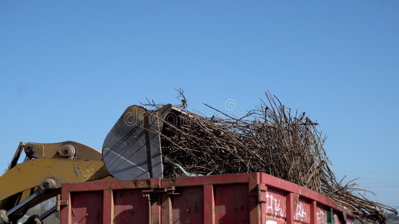 Tractor Loader Household Waste at Landfill. Stock Video - Video of dump ...