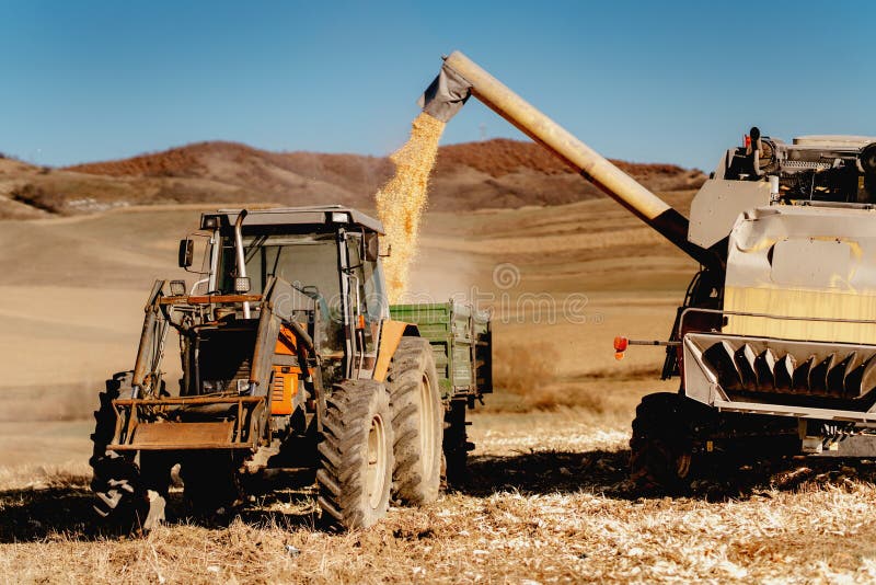 Industrial Farmer Using Combine Harvester and Tractor for Autumn ...