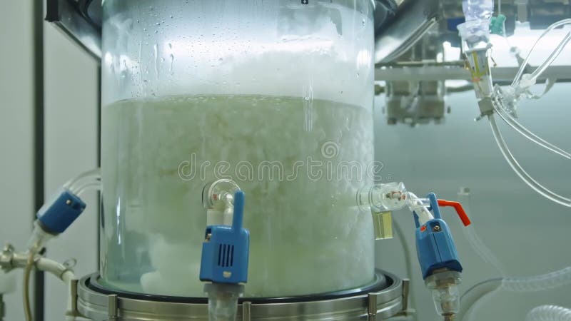 Industrial Fermentation Process in Bioreactor Demonstrating Fluid ...