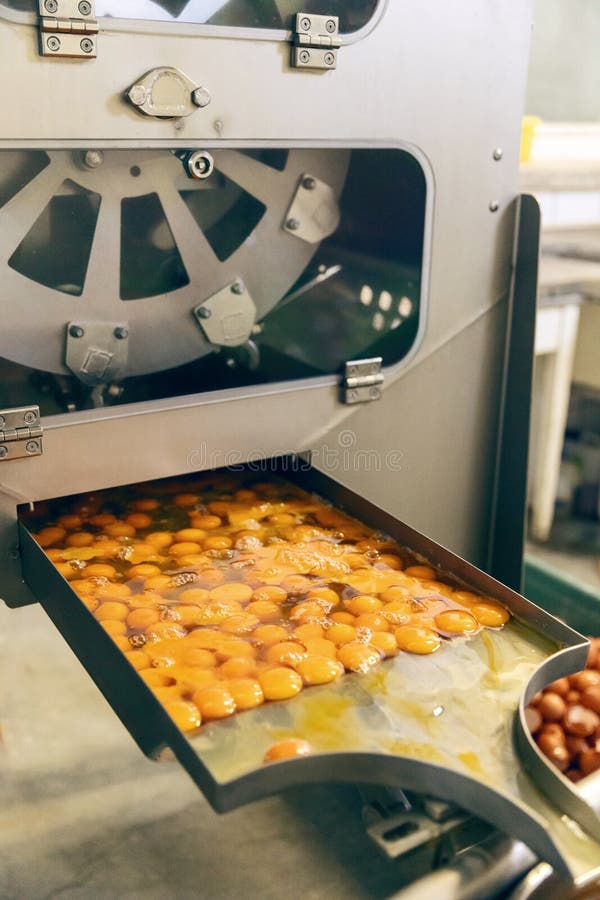 Grafvision - Photographer profile