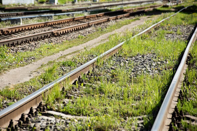 Industrial Grassy Rust Railway Tracks in Perspective Stock Image ...
