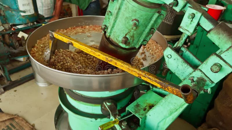 Industrial Grinder Processing Materials with Metal Scoop Assistance ...