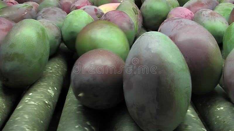 Mangoes Fruit in Packaging Line4 43 4K Stock Footage - Video of present ...