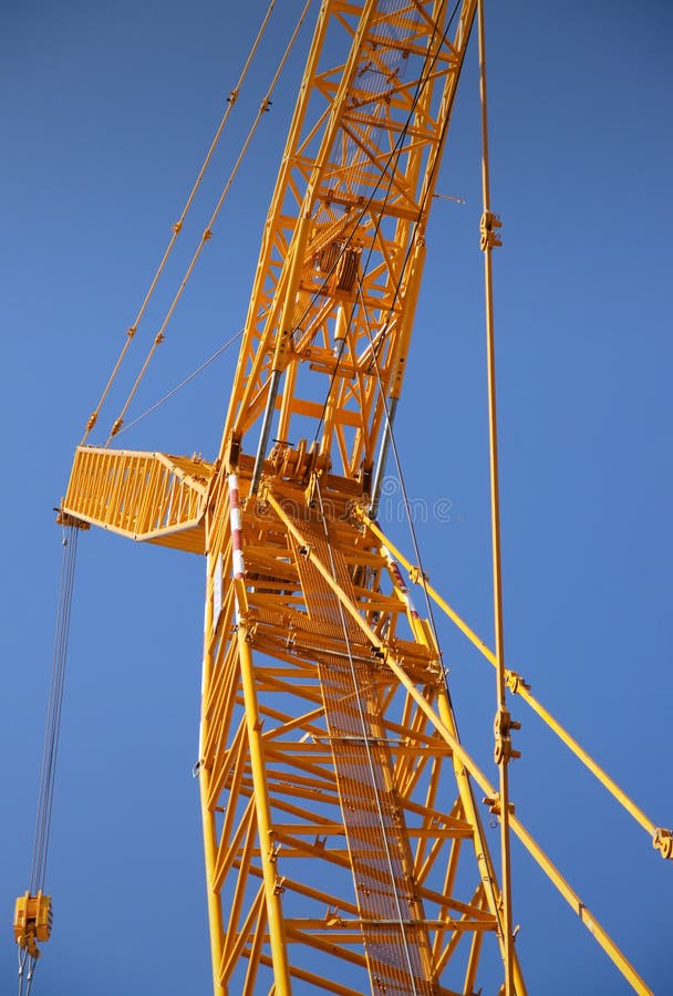 445 Frog Construction Stock Photos - Free & Royalty-Free Stock Photos ...