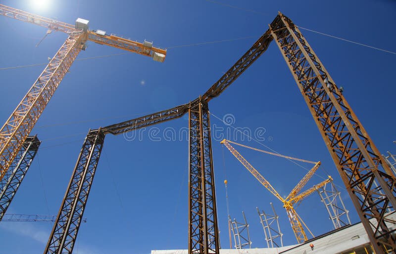 1,078 Frog Construction Stock Photos - Free & Royalty-Free Stock Photos ...