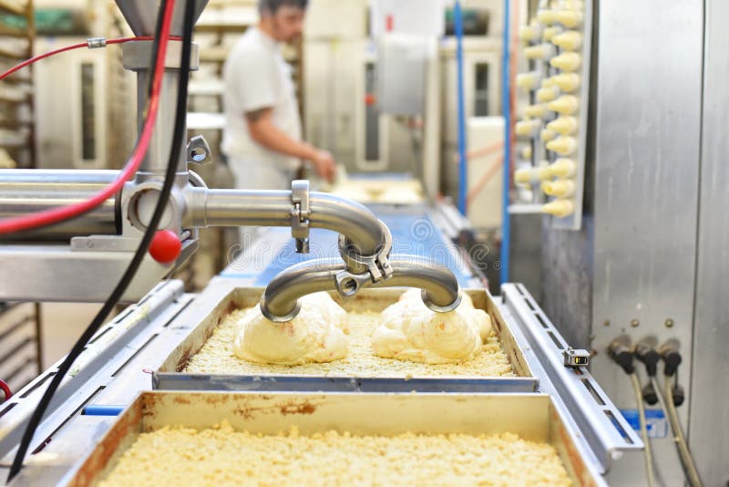 Industrial Production of Cakes and Tarts in a Large Bakery on an ...