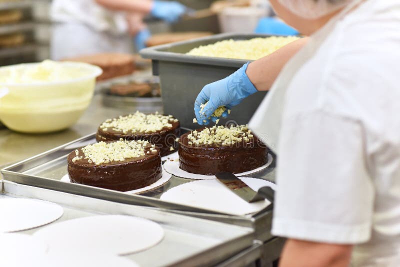 Industrial Production of Cakes and Tarts in a Large Bakery on an ...