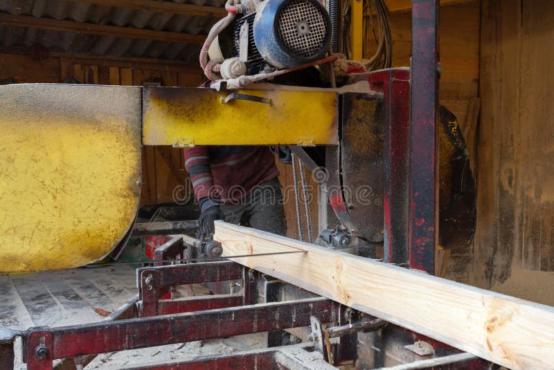 Wood Processing at a Sawmill. Preparation of Logs for Production Stock ...