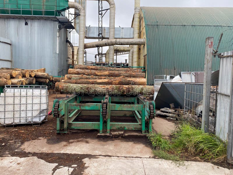 Industrial Sawmill with Logs for Processing into Boards, Equipment for ...