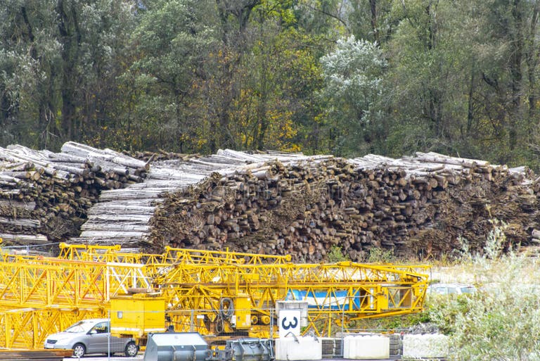 Industrial Tree Logging stock photo. Image of pine, heavy - 391875528
