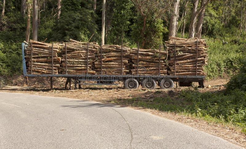 Timber Export at Vladivostok Stock Photo - Image of business, boat: 3081774