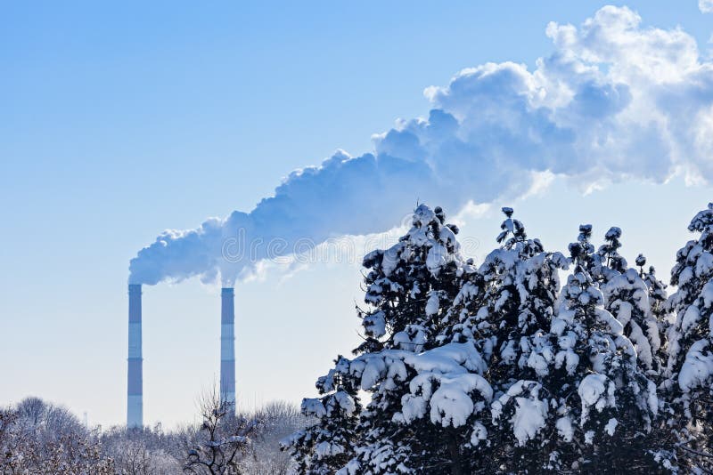 Industrial Tubes Smoke in Front of Blue Sky and Winter Spruces Stock ...