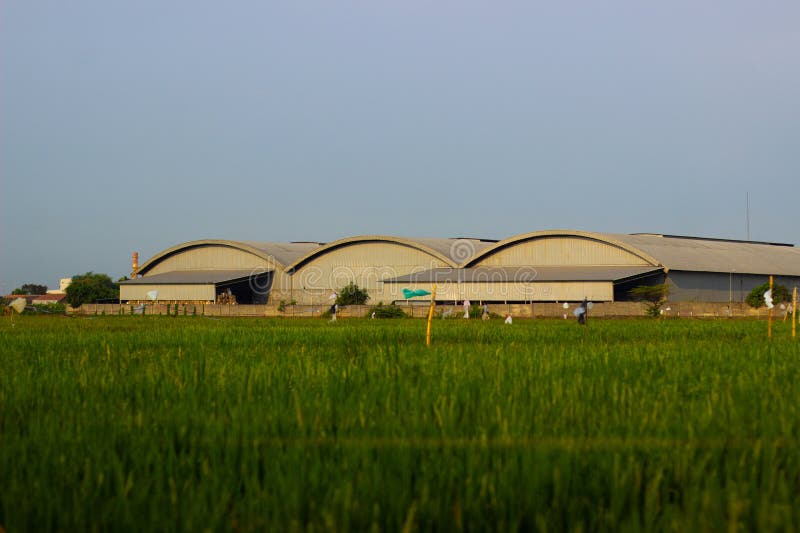 Industrial View of a Factory in the Middle of a Rice Field Stock Photo ...