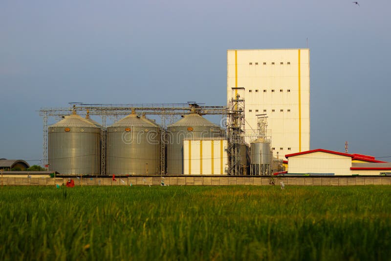 Industrial View of a Factory in the Middle of a Rice Field Stock Photo ...