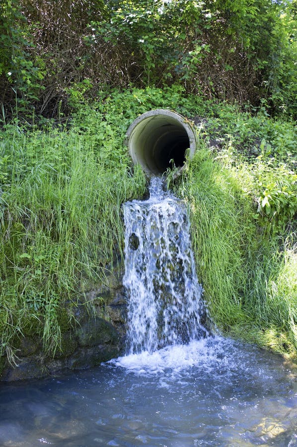 Industrial Waste Discharge stock photo. Image of vegetation - 43172742