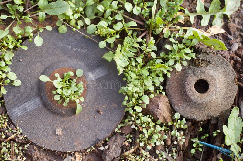 Industrial waste on ground stock image. Image of pollution - 89890943
