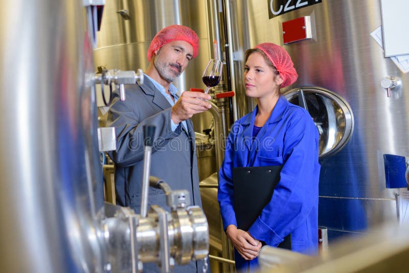Industrial Wine Workers Checking Wine Stock Photo - Image of inspection ...
