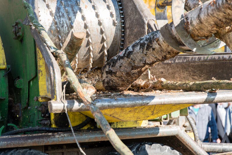 Industrial Wood Chipper in Action Stock Photo - Image of grab, mulching ...