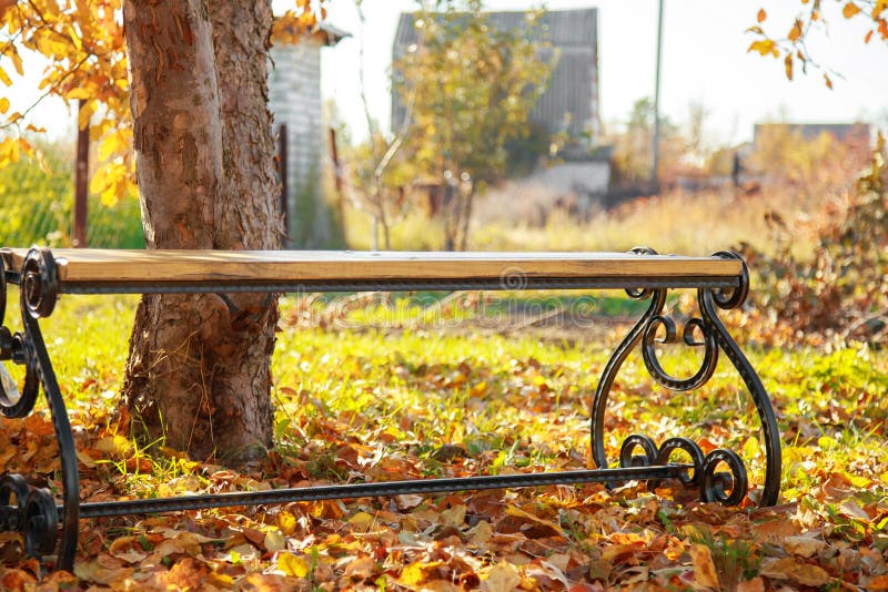 Industry Making a Forging Bench in the Fall in the Garden in the ...