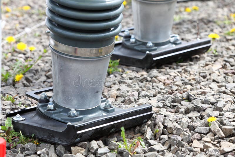 Jumping jack rabbit stock photo. Image of animal, jack - 13466896