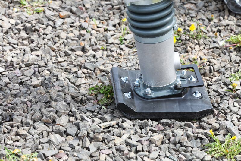 Jumping jack rabbit stock photo. Image of animal, jack - 13466896