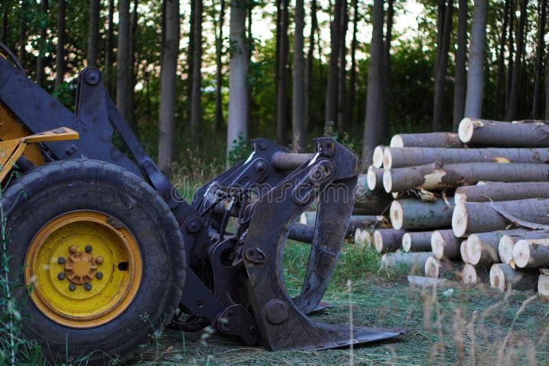 Industry. tree felling stock photo. Image of felling - 345081614