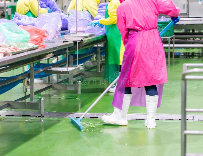 Industry Worker are Cleaning Floor with Mob Stock Image - Image of ...
