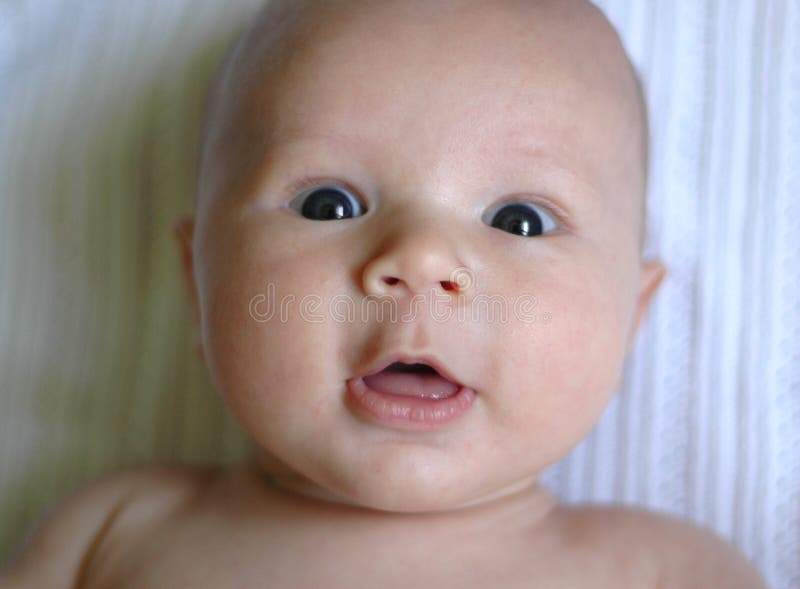 Infant Baby Portrait stock photo. Image of light, happy - 2391634