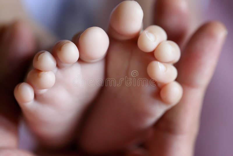 Infant feet stock image. Image of cute, parent, feet - 73121731