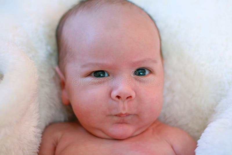 2,568 Smirk Expression Stock Photos - Free & Royalty-Free Stock Photos ...