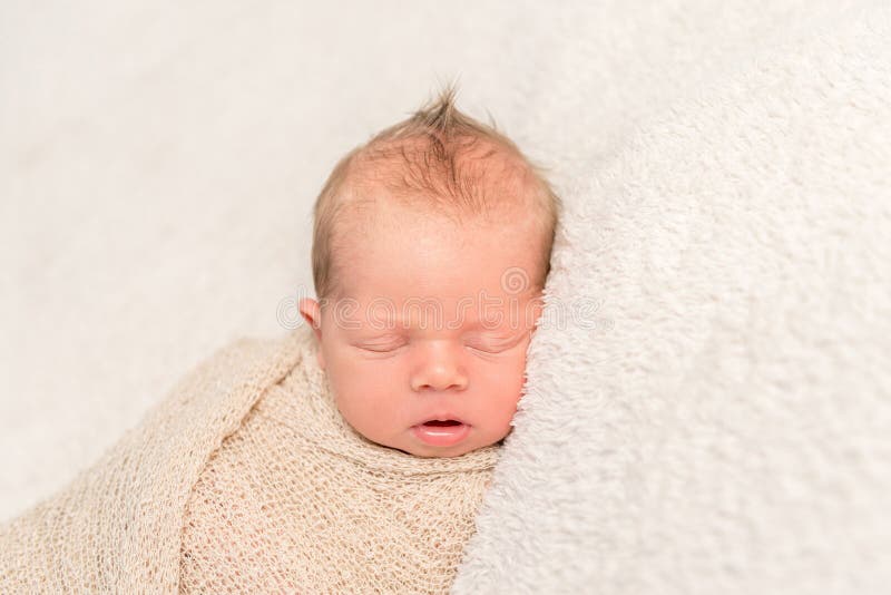 Mimic Napping Stock Photos - Free & Royalty-Free Stock Photos from ...