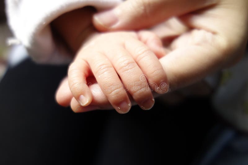 Infant Hand stock photo. Image of start, shot, family - 30361868