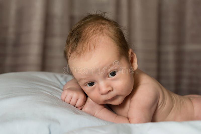 Infant s face stock photo. Image of love, smile, happy, vulnerable - 38010