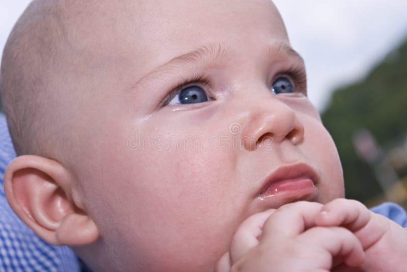 Infant / Praying Hands stock photo. Image of infant, youth - 10834510