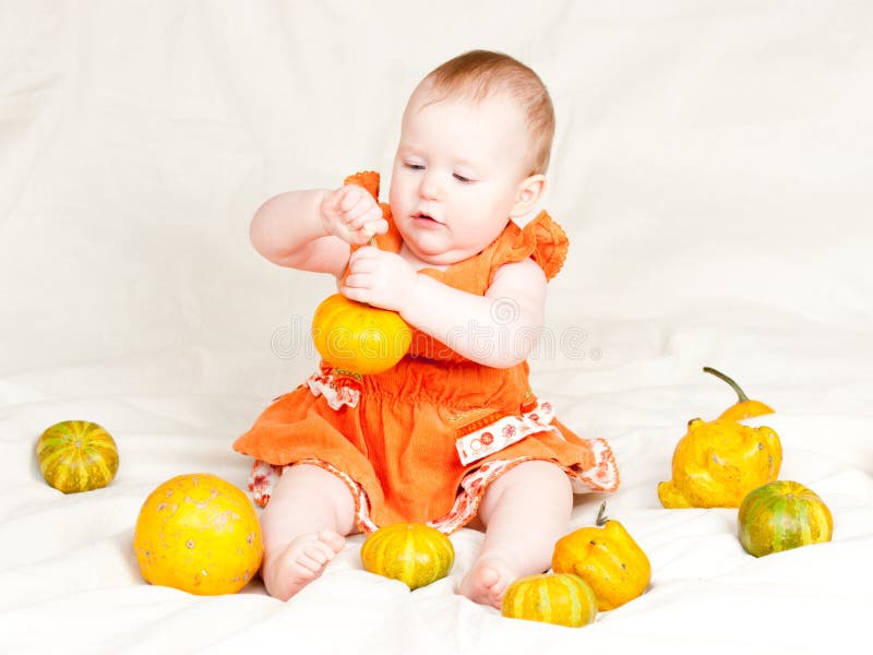 Fall Baby Cornucopia stock image. Image of horn, avocado - 27750511