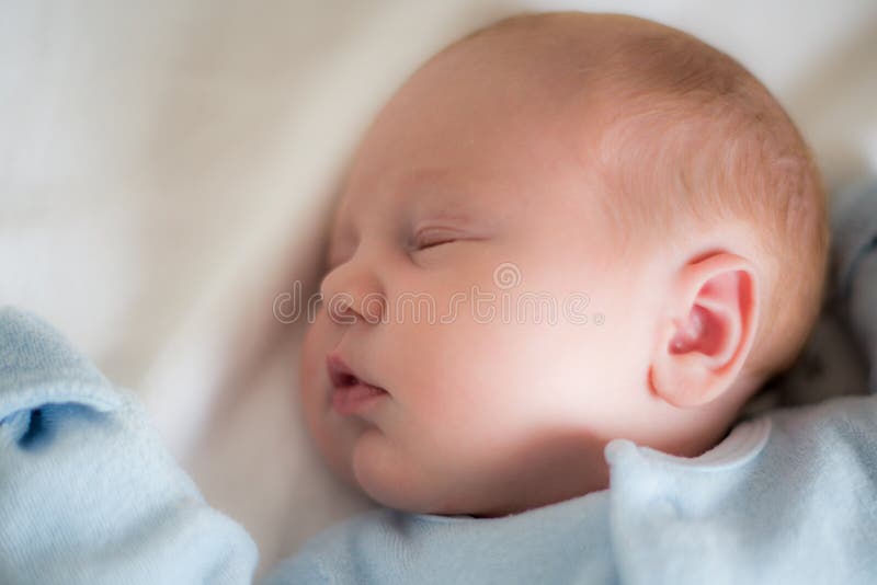 Infant sleep face stock image. Image of blanket, happy - 87507377