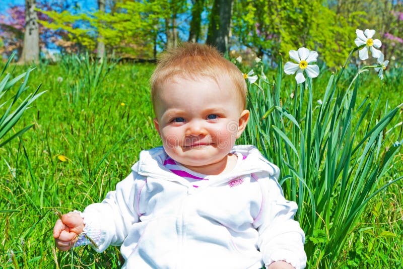 Spring baby in daffodils stock photo. Image of colours - 23845476