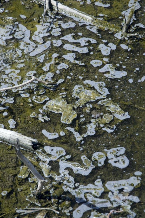 Infected water stock image. Image of destruction, devastated - 16895451