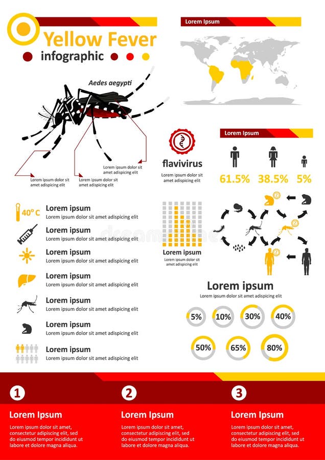 Infectieziekte Infographics - Gele Koorts Vector Illustratie ...