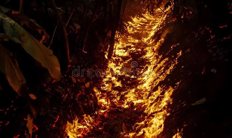 Inferno S Path: a Fiery Trail through the Dark Forest Stock ...