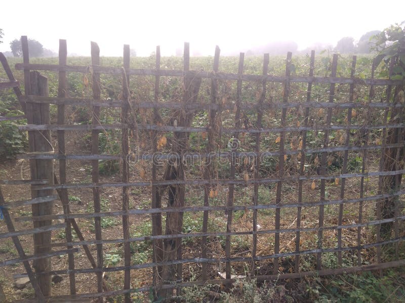 Infian farm gate stock image. Image of sesaon, indian - 167030671