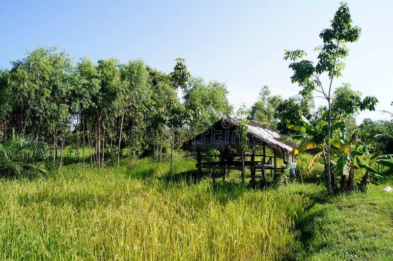 The Infield Has Small Hut Fields Has a Small Hut Editorial Photography ...