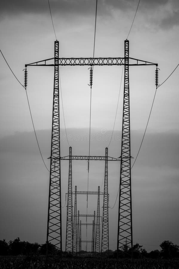 Infinite Energy Lines of Trellis Metal Trellis Editorial Photography ...