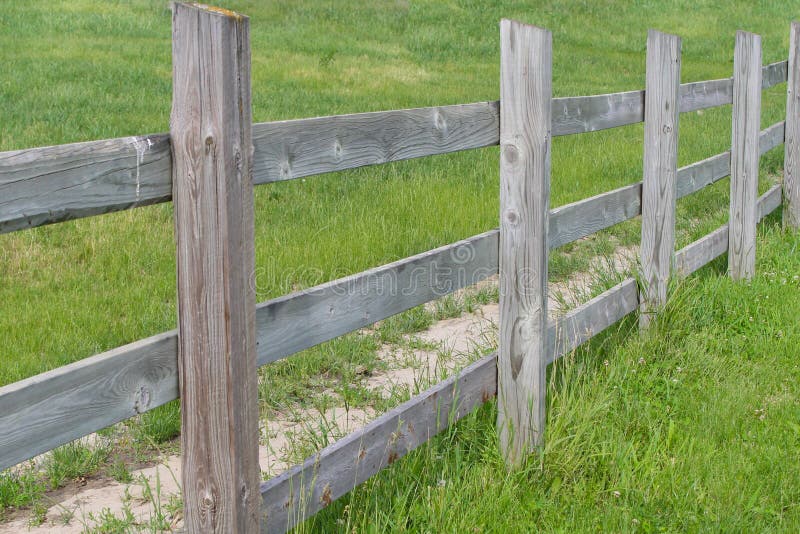 Infinite Fence with Green Grass Stock Image - Image of focused, grass ...