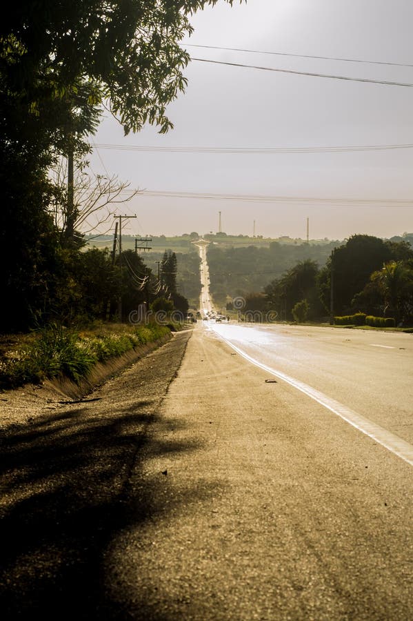 Infinite Highway with Vegetation, Strong Sun, a Plate with the Speed ...