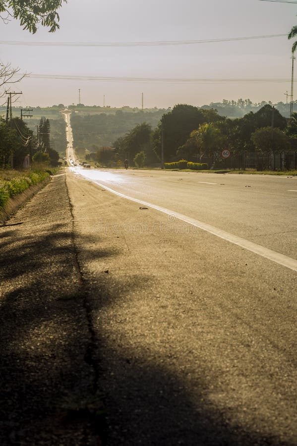 Infinite Highway with Vegetation, Strong Sun, a Plate with the Speed ...