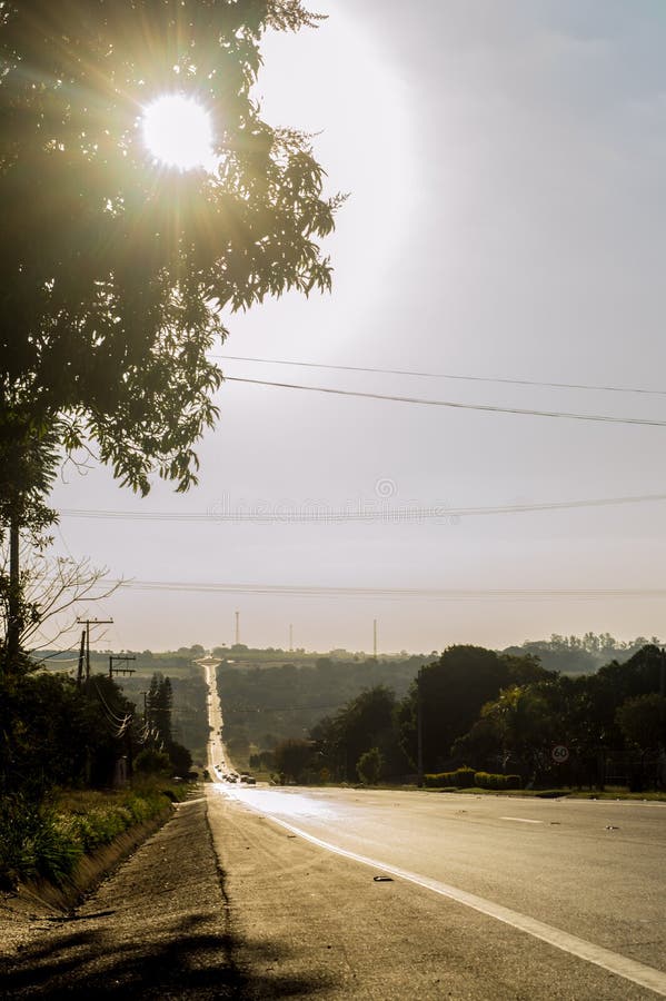 Infinite Highway with Vegetation, Strong Sun, a Plate with the Speed ...